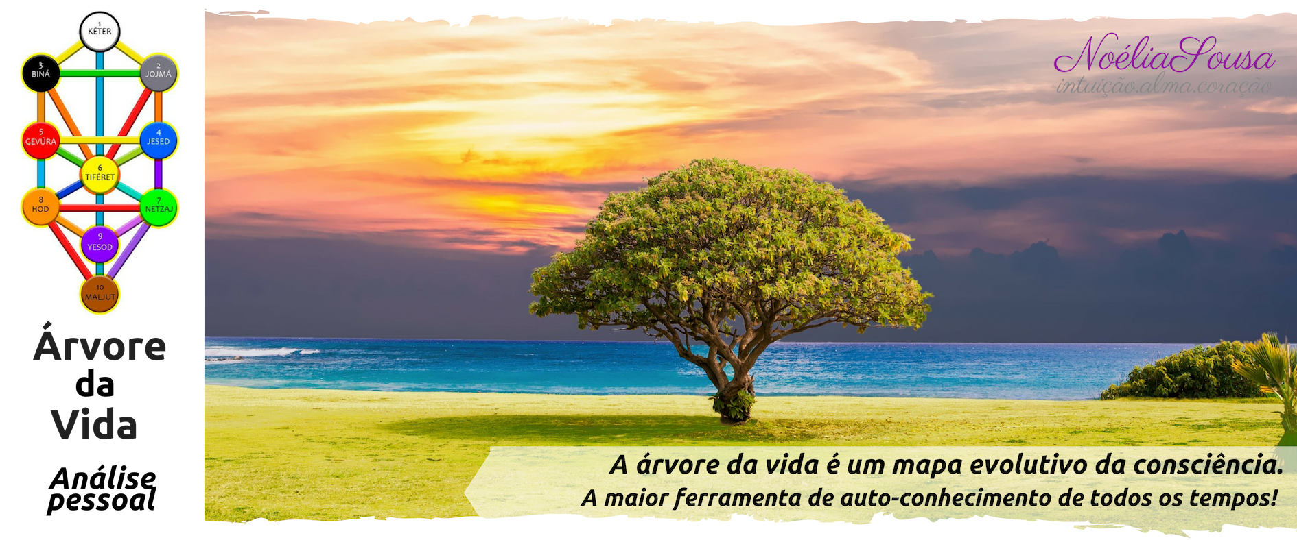 Árvore da Vida - Noélia Sousa